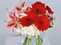 Florist Hollywood Florida - Same-day Flower Delivery - Al's Florist